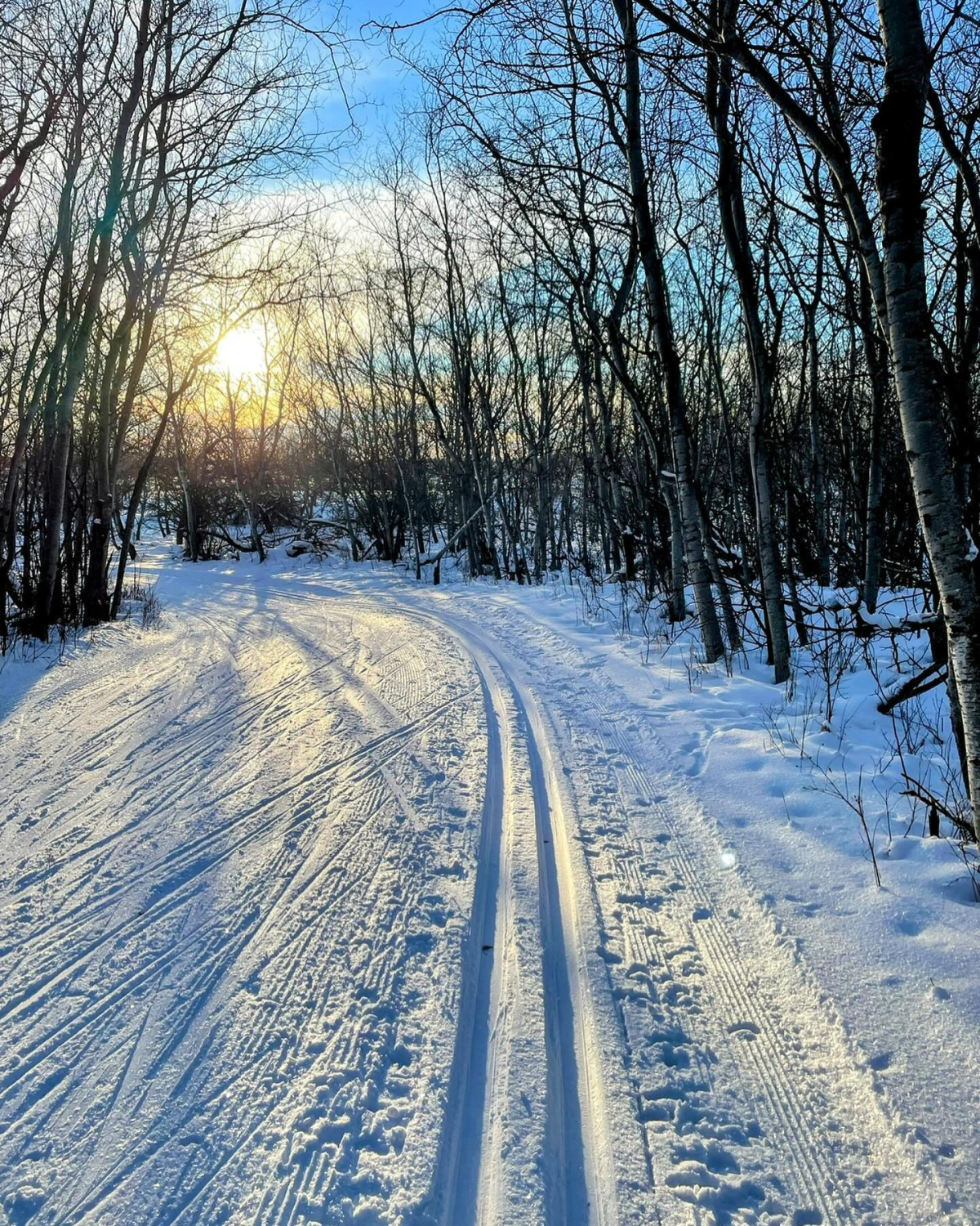 Winter on the Trails Photo Contest Winners | Saskatchewan Trails ...