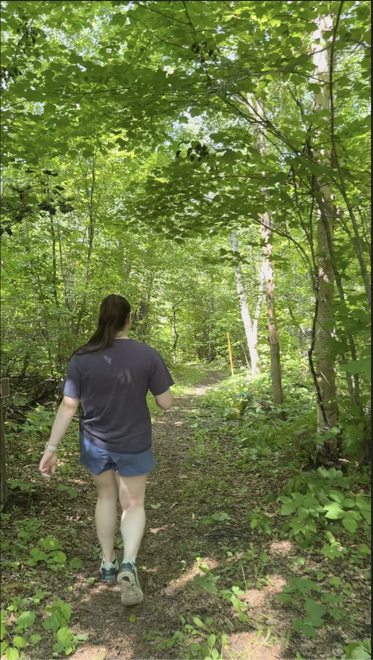 Madge Lake Trails Guide: Fen Trail, TCT, Damselfly & More | Part 2